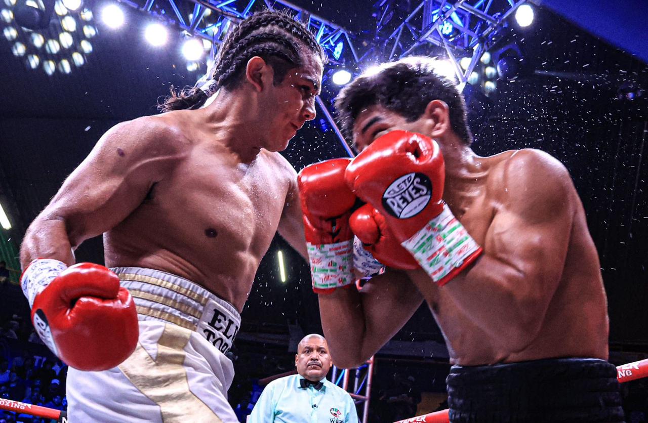 Función internacional de boxeo Tlaxcala-WBC 2024 favoreció la actividad ...