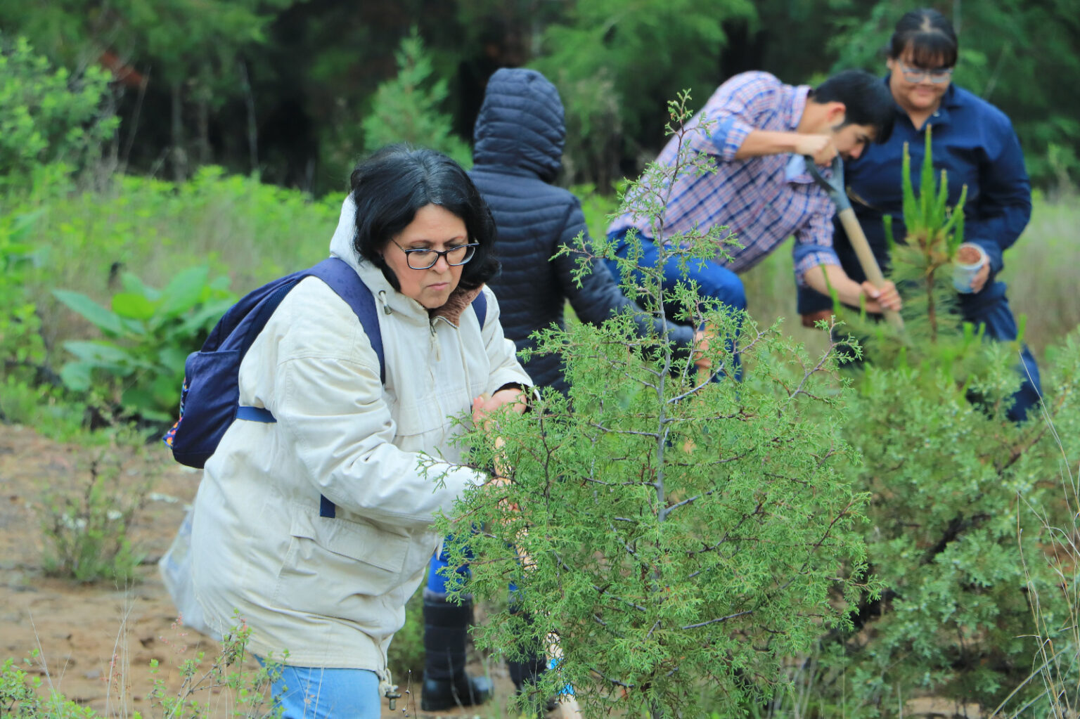 UATx | Mantienen labores de rescate de flora y fauna en el Cerro de San ...