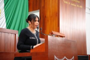 Impulsa Lorena Ruiz paridad en el Consejo Consultivo de la CEDH en el ...